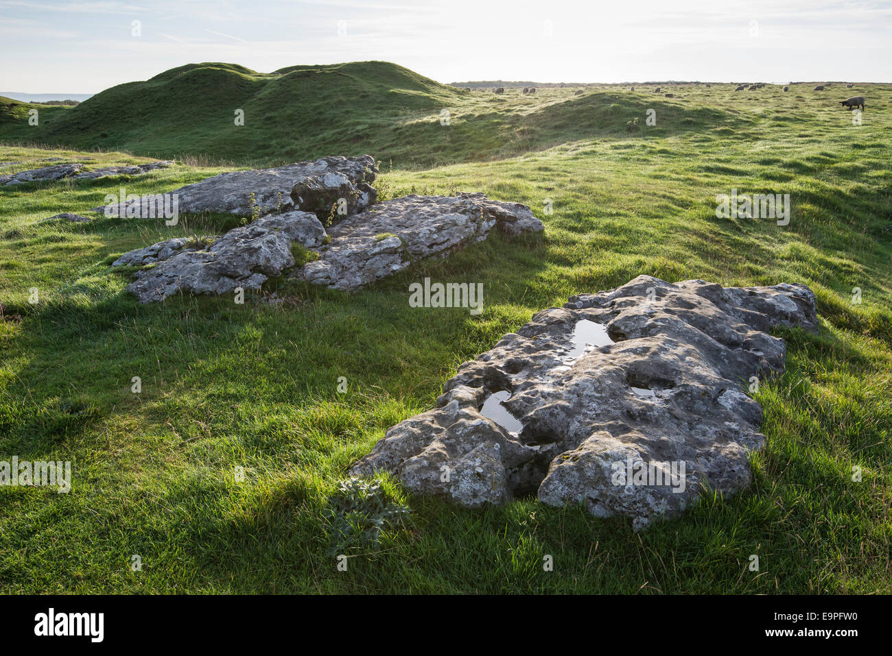 Stones at Arbor Low stone circle in the Peak District, Derbyshire. A ...