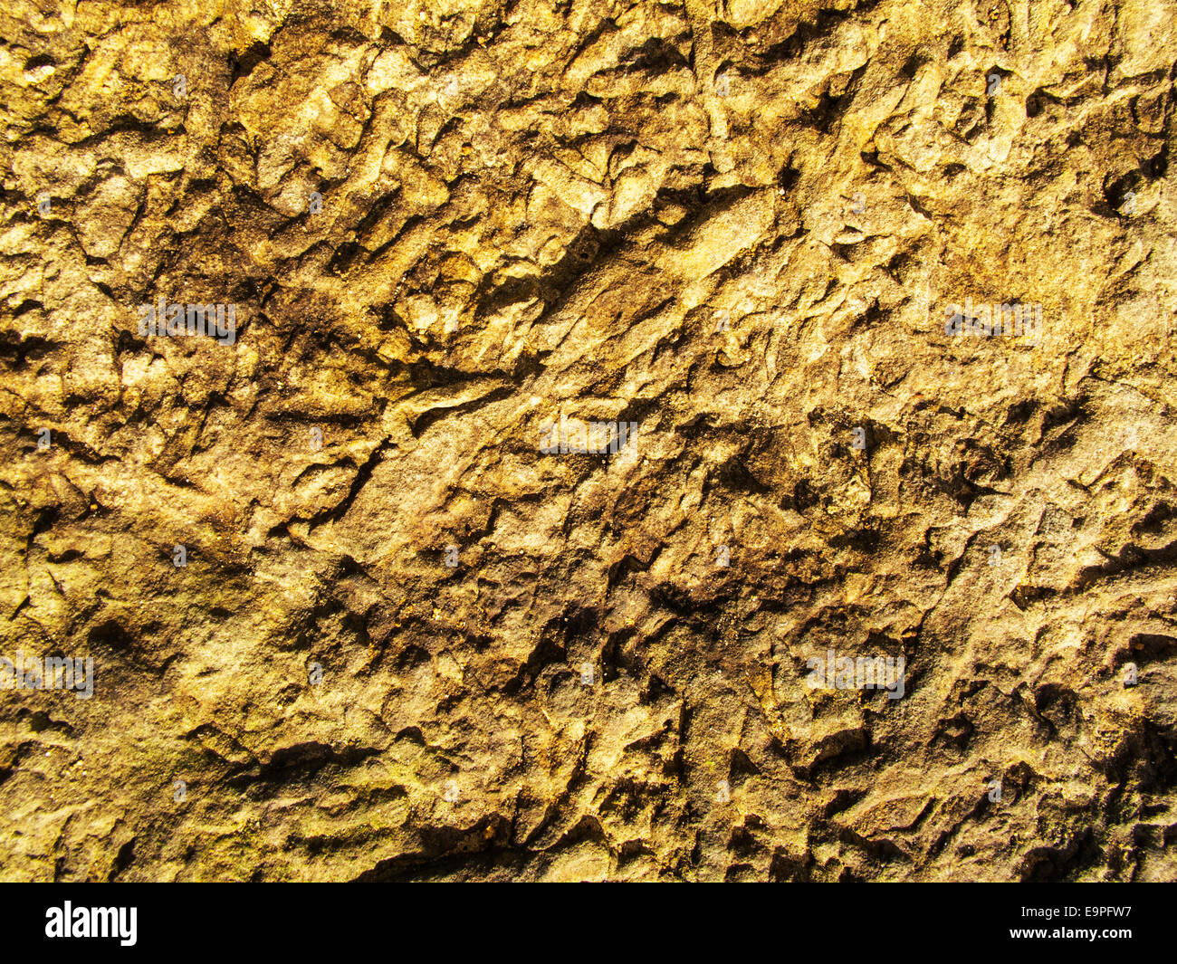 Tribulite hi-res stock photography and images - Alamy