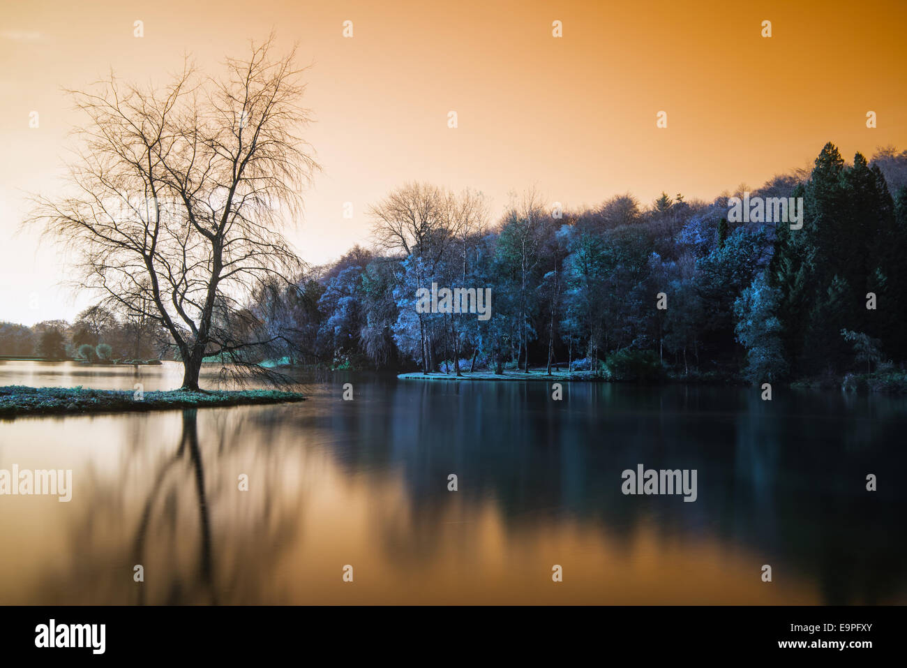 Beautiful unusual false color lake landscape Stock Photo - Alamy