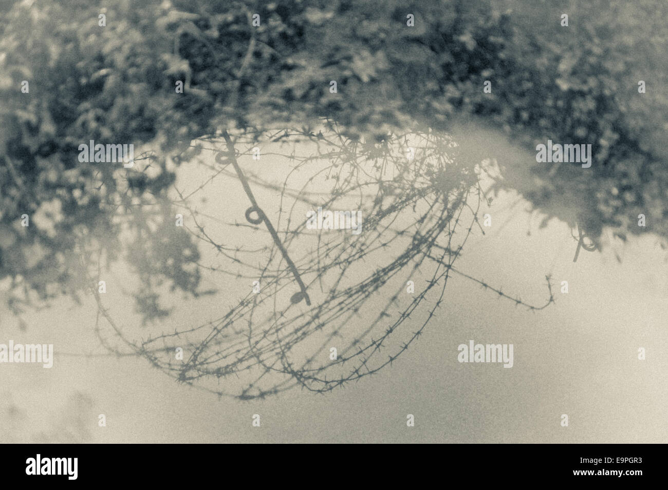 Trench warfare ww1 water hi-res stock photography and images - Alamy