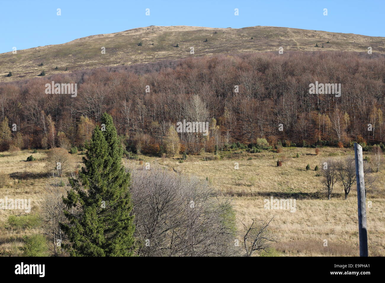 Beautiful sunny day is in mountain landscape Stock Photo - Alamy