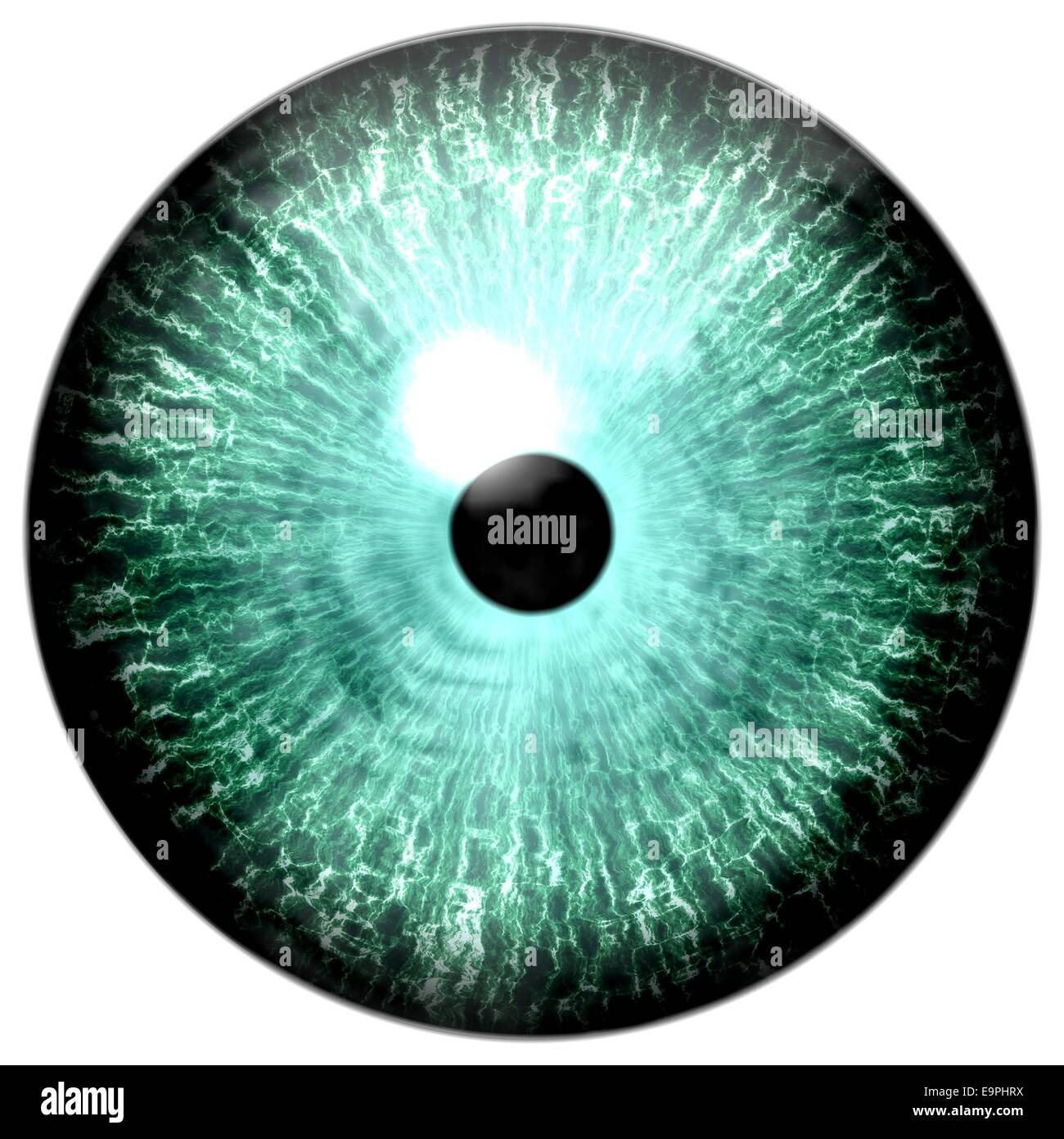 Illustration of a green eye with light reflection on a white background ...