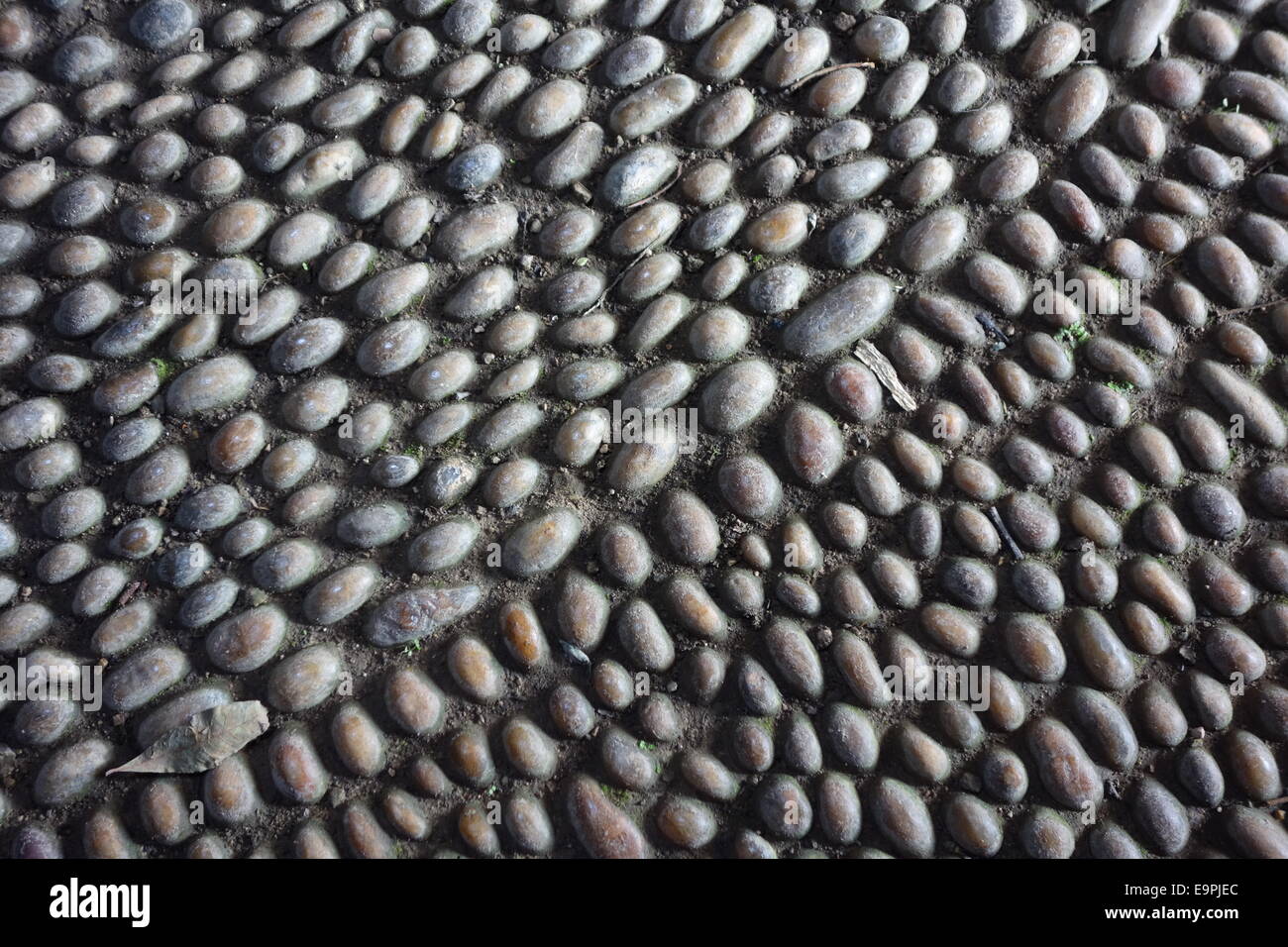 Floor ground cobbles cobbled stones hi-res stock photography and images ...