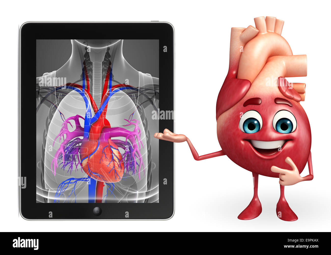 Cartoon Character of heart with heart anatomy Stock Photo - Alamy