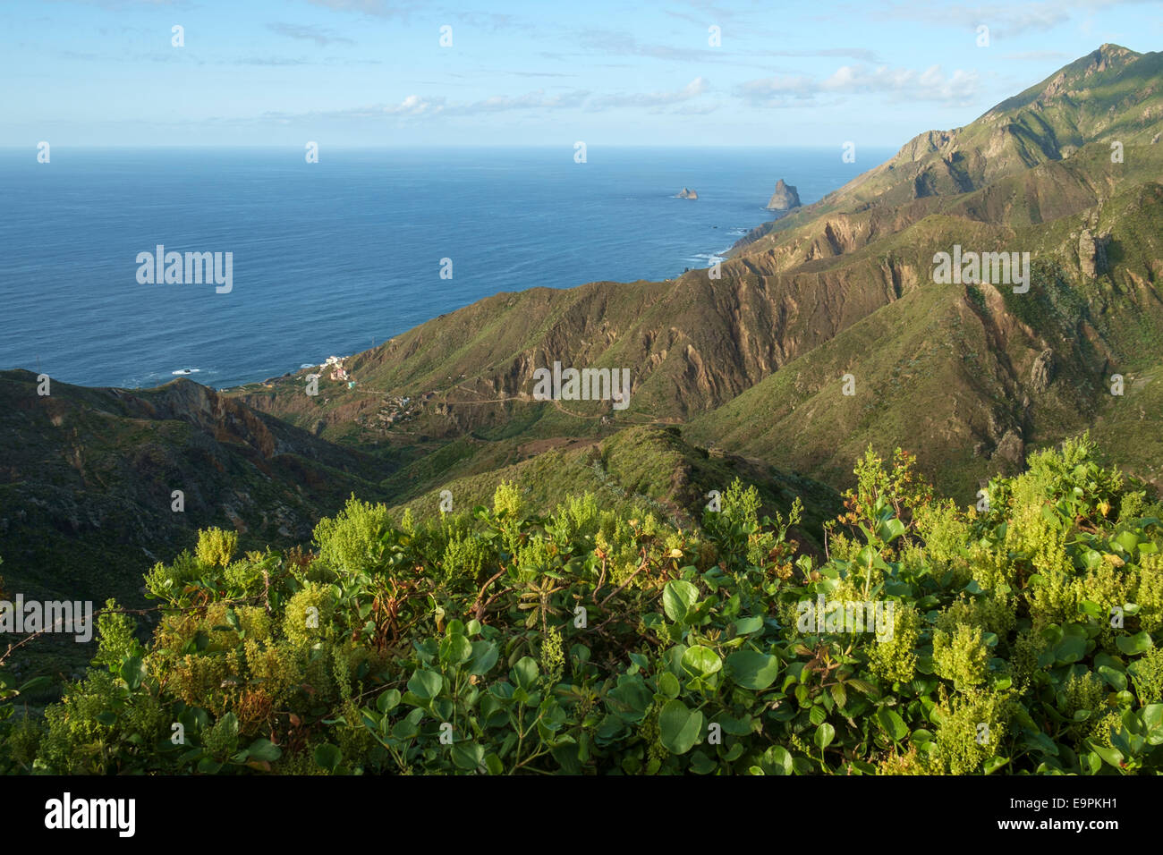 Anaga mountains, Tenerife, Canary Islands Stock Photo - Alamy