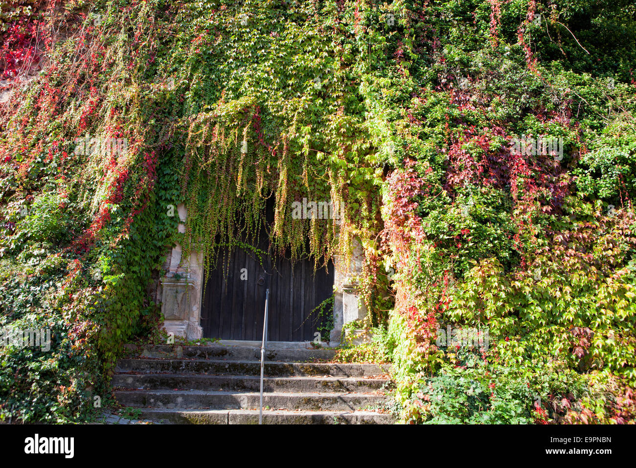 Overgrown door, Marburg Castle, Landgrafenschloss, Marburg, Hesse ...
