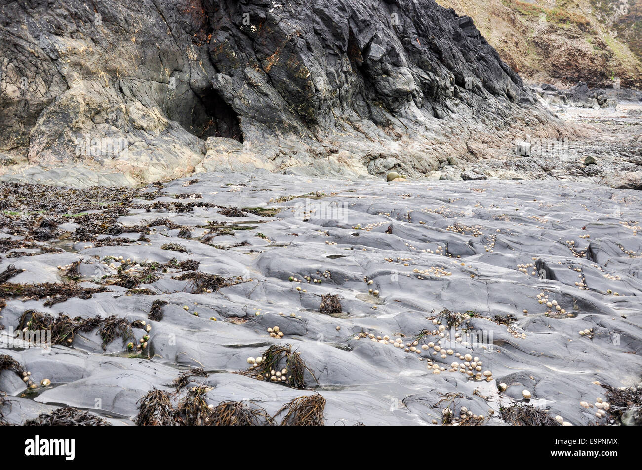 Pembrokeshire rocks hi-res stock photography and images - Alamy