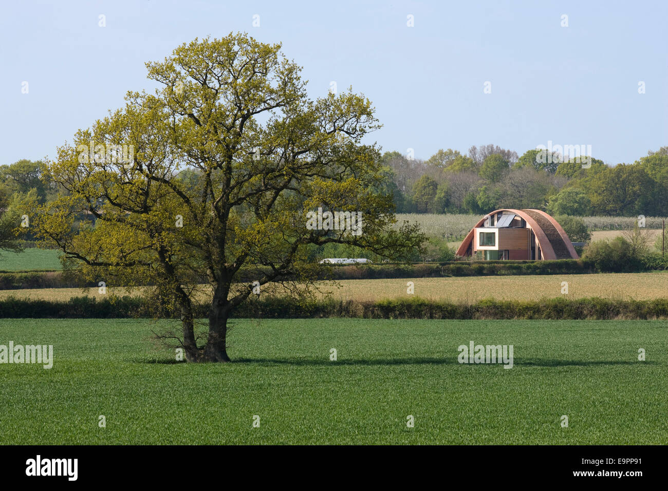 House with landscape and tree, Crossway, Kent, England, UK Stock Photo ...