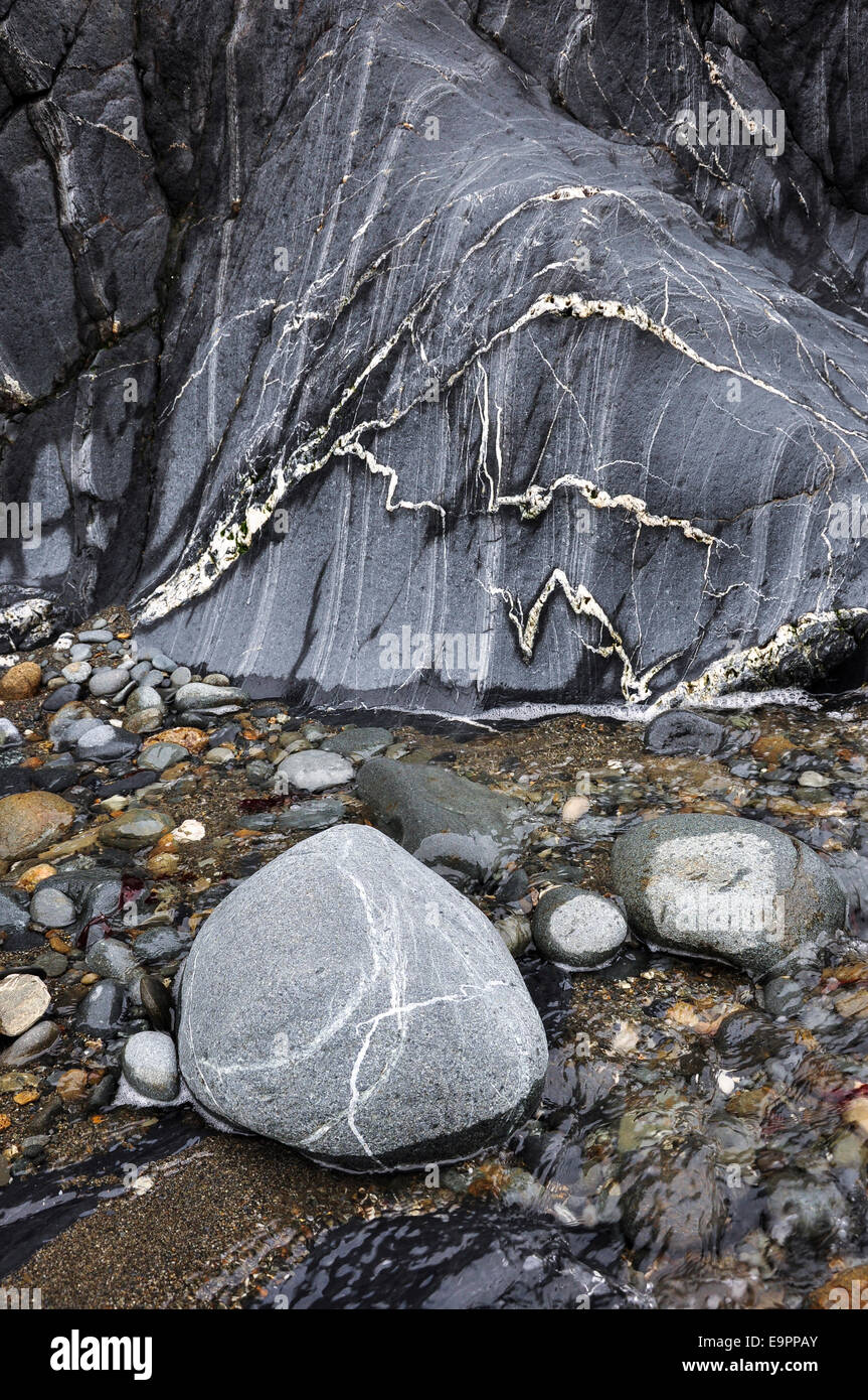 Veined rocks on the beach at Trefin, Pembrokeshire Stock Photo - Alamy
