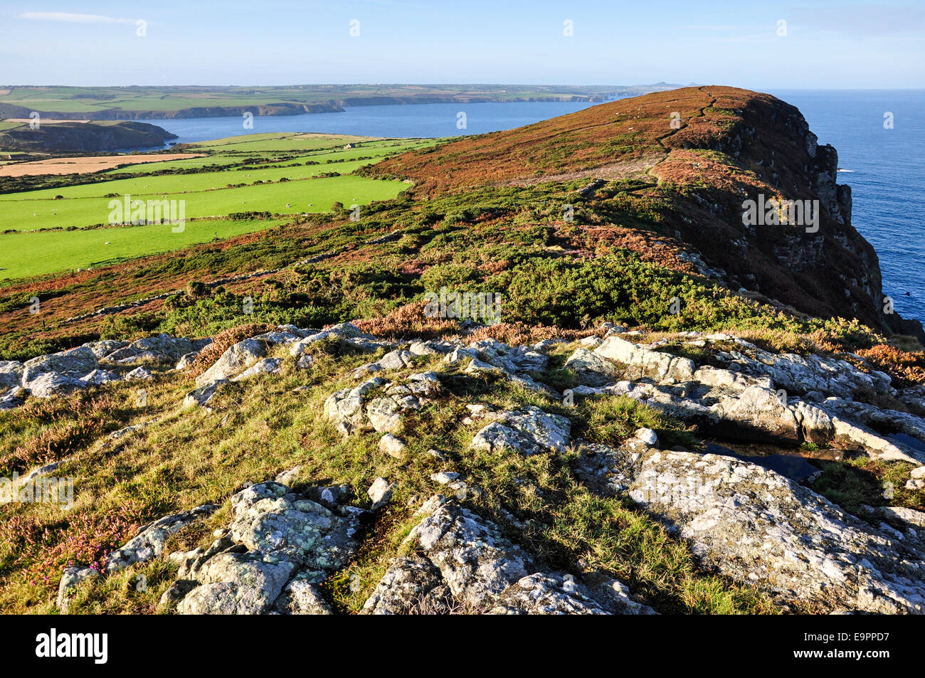 Beautiful sunny day on the coast path near Trefasser in Pembrokeshire ...