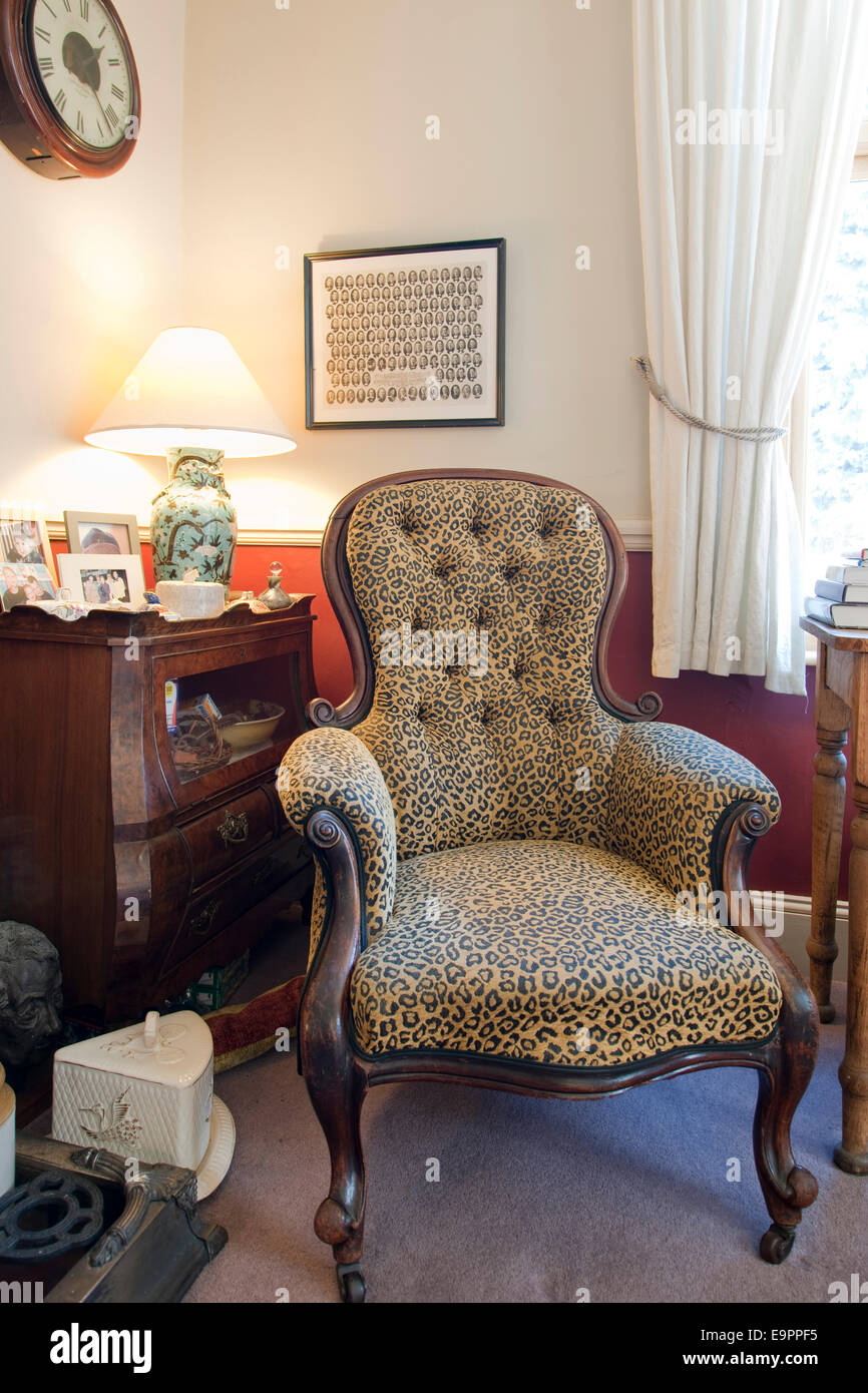 Leopard skin upholstered Victorian button backed chair in UK home Stock ...