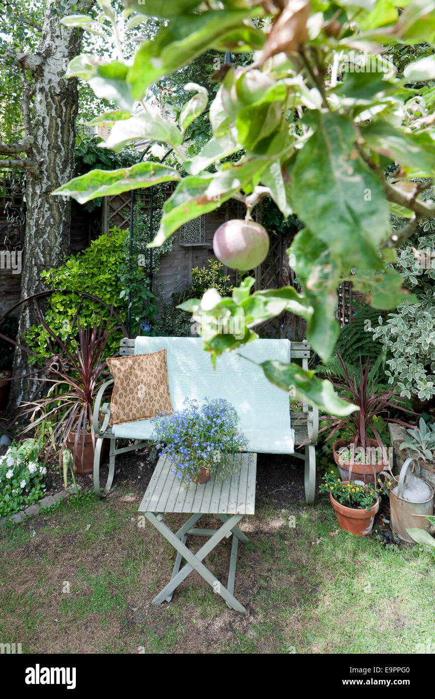 Garden seating and apple tree, Kingston upon Thames, England, UK Stock ...