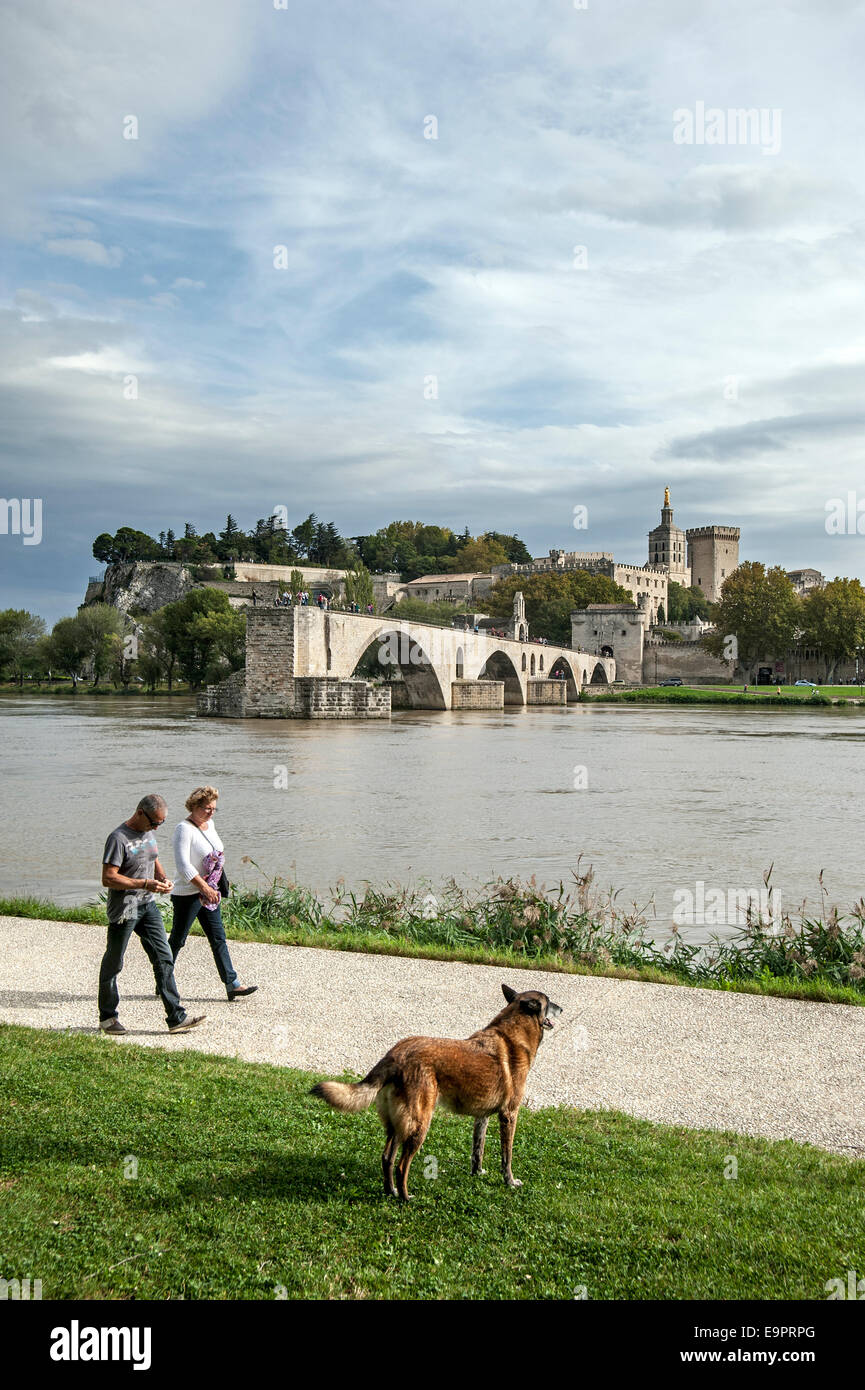 Pont Saint-Bénézet / Pont d'Avignon, Palais des Papes / Papal palace ...