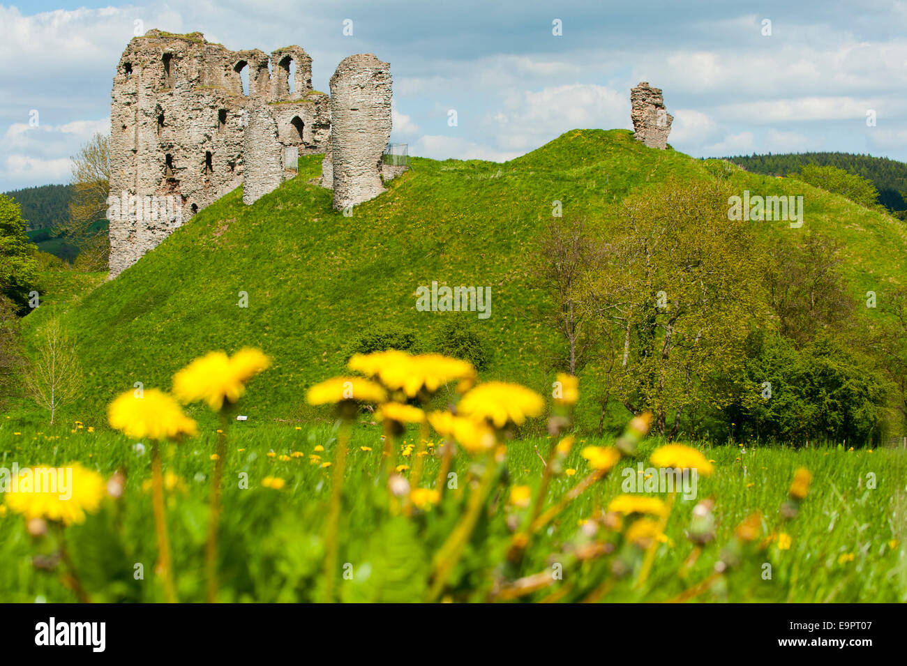Clun Castle in spring, Clun, Shropshire, England, UK Stock Photo - Alamy