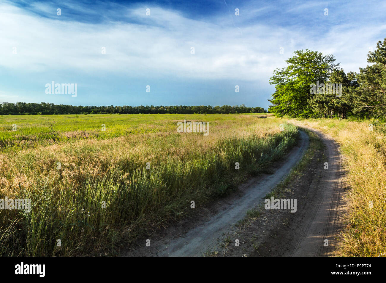 The rural dirt road, beautiful countryside on a sunny day Stock Photo ...