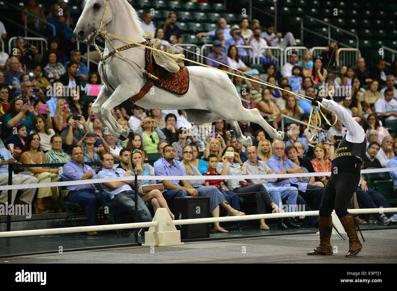 Rene Gasser Rides 'Gala of The Royal Horses' into North America for the ...