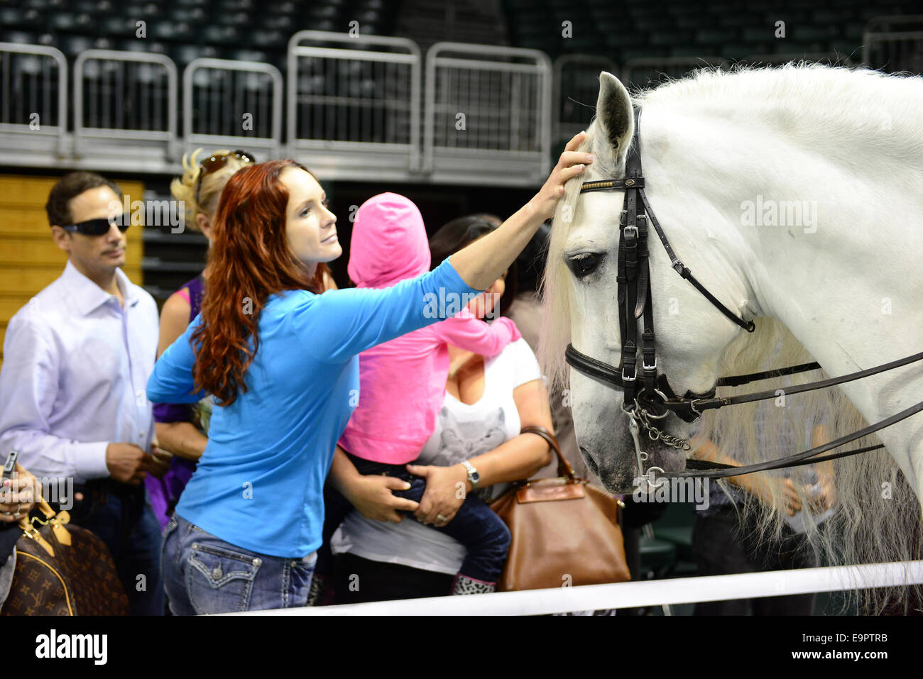 Rene Gasser Rides 'Gala of The Royal Horses' into North America for the ...