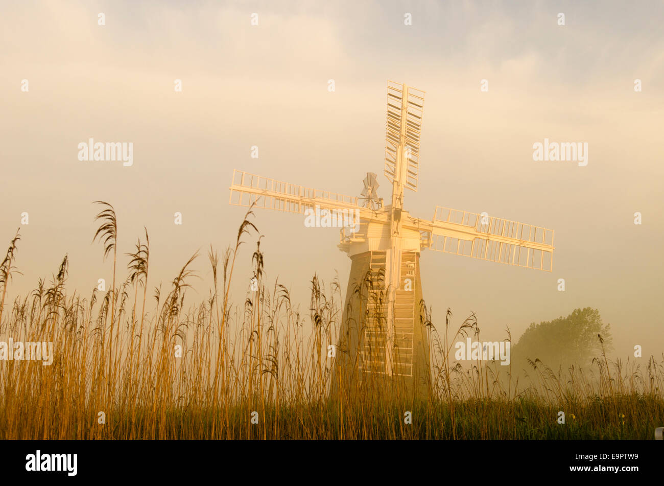 Mist reeds windmill sails hi-res stock photography and images - Alamy