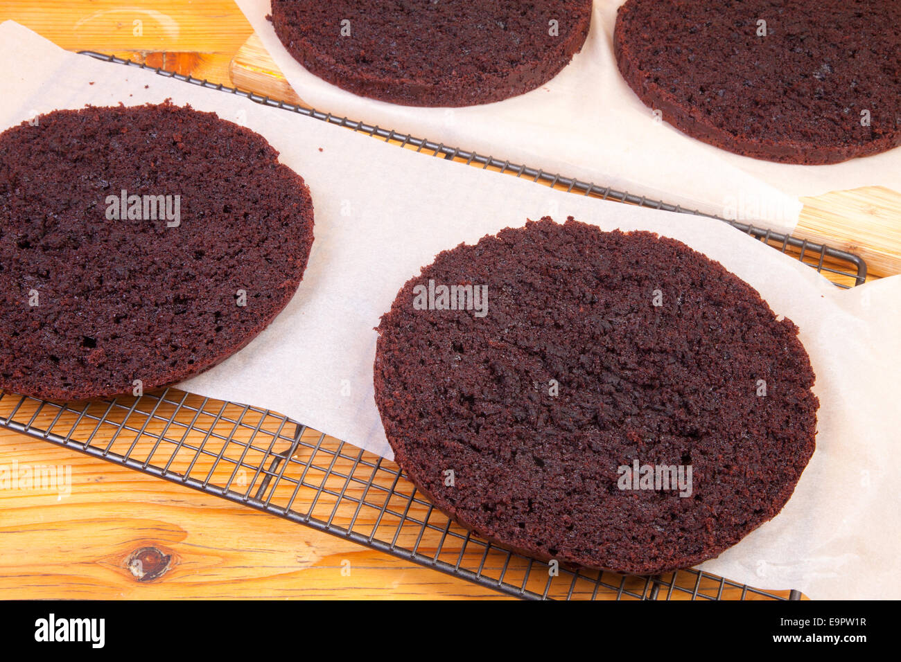 four chocolate sponges cooling on wire rack Stock Photo - Alamy