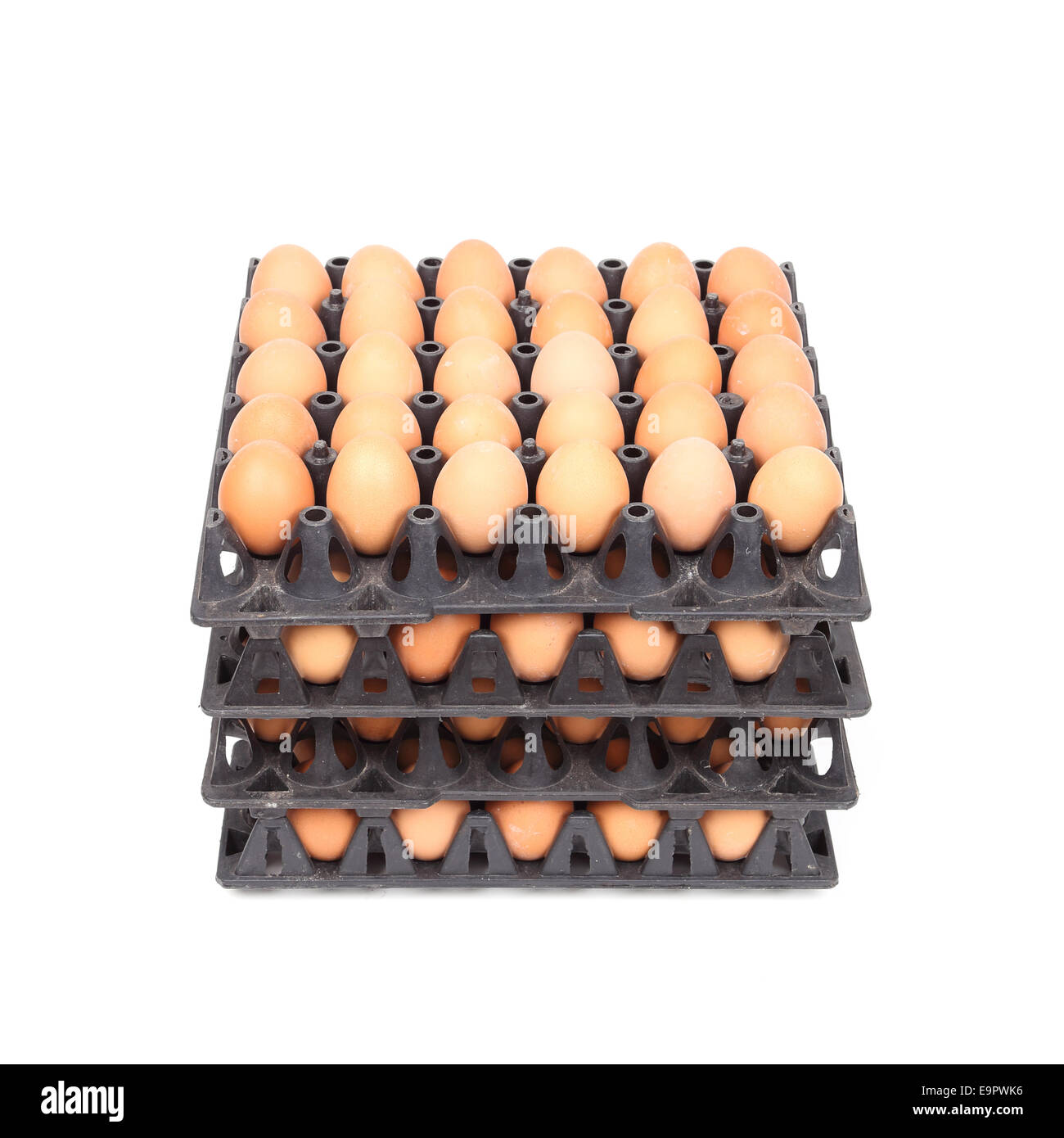 stack of eggs in tray on white background Stock Photo - Alamy