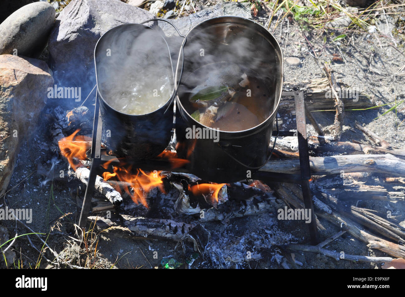 Cooking fish on the fire. Tourist fire, trivet, and two pot that cooked ...