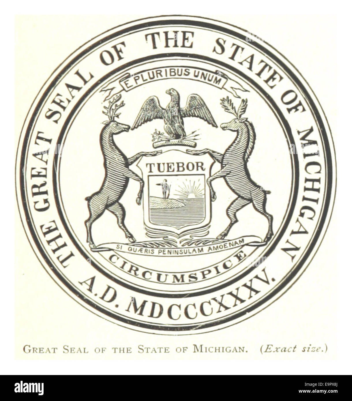 This 1884 image of the Great Seal of the State of Michigan features the ...