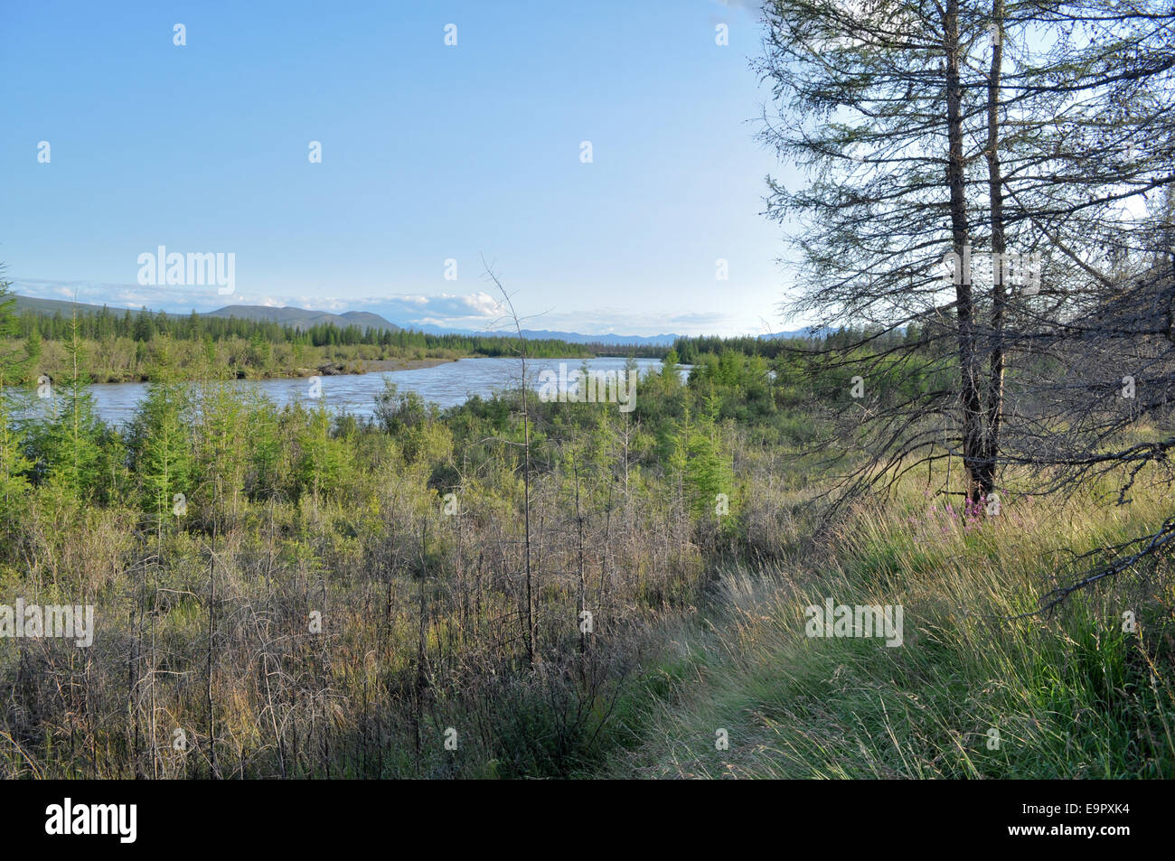 Water summer landscape surrounding the river Suntar in the Highlands of ...