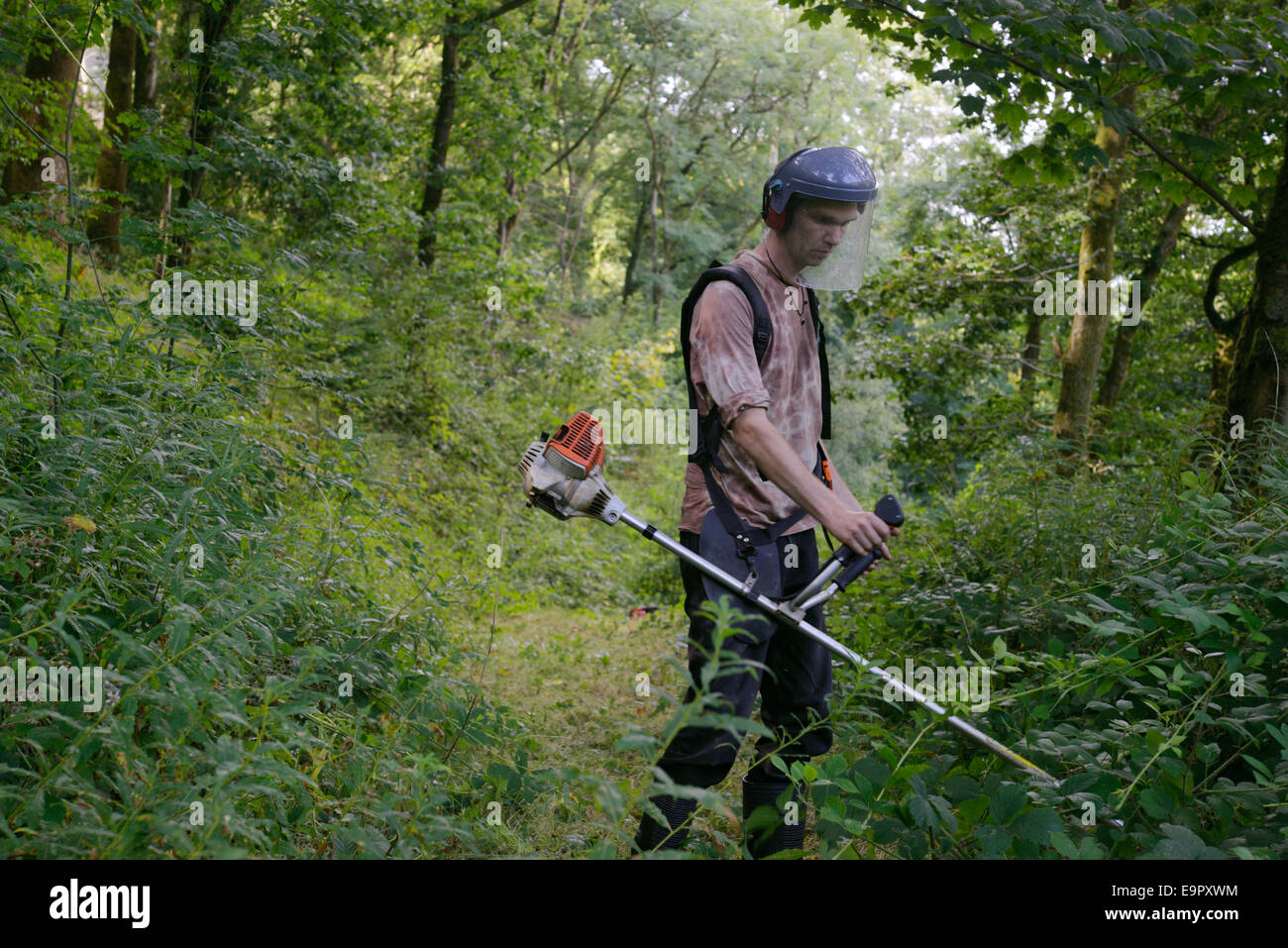 Brushcutter hi-res stock photography and images - Alamy