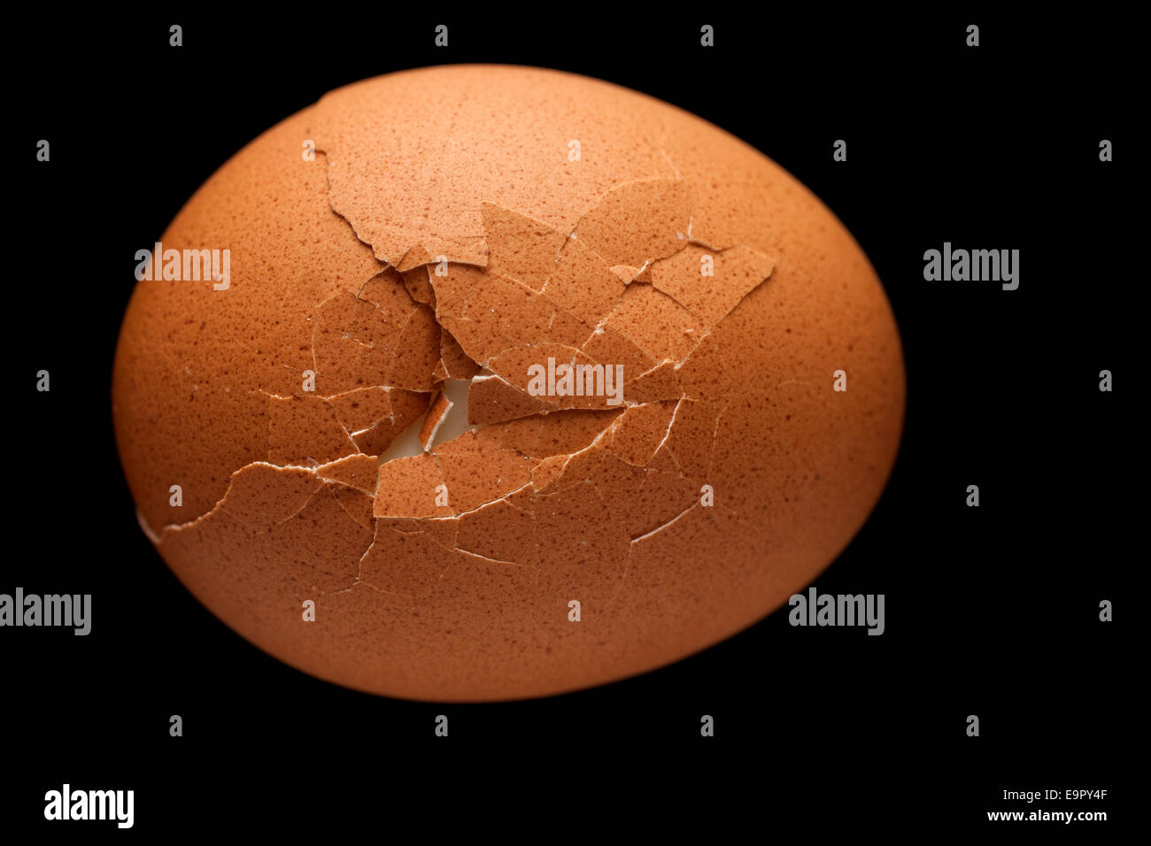 Cracked egg shell on a black background Stock Photo - Alamy
