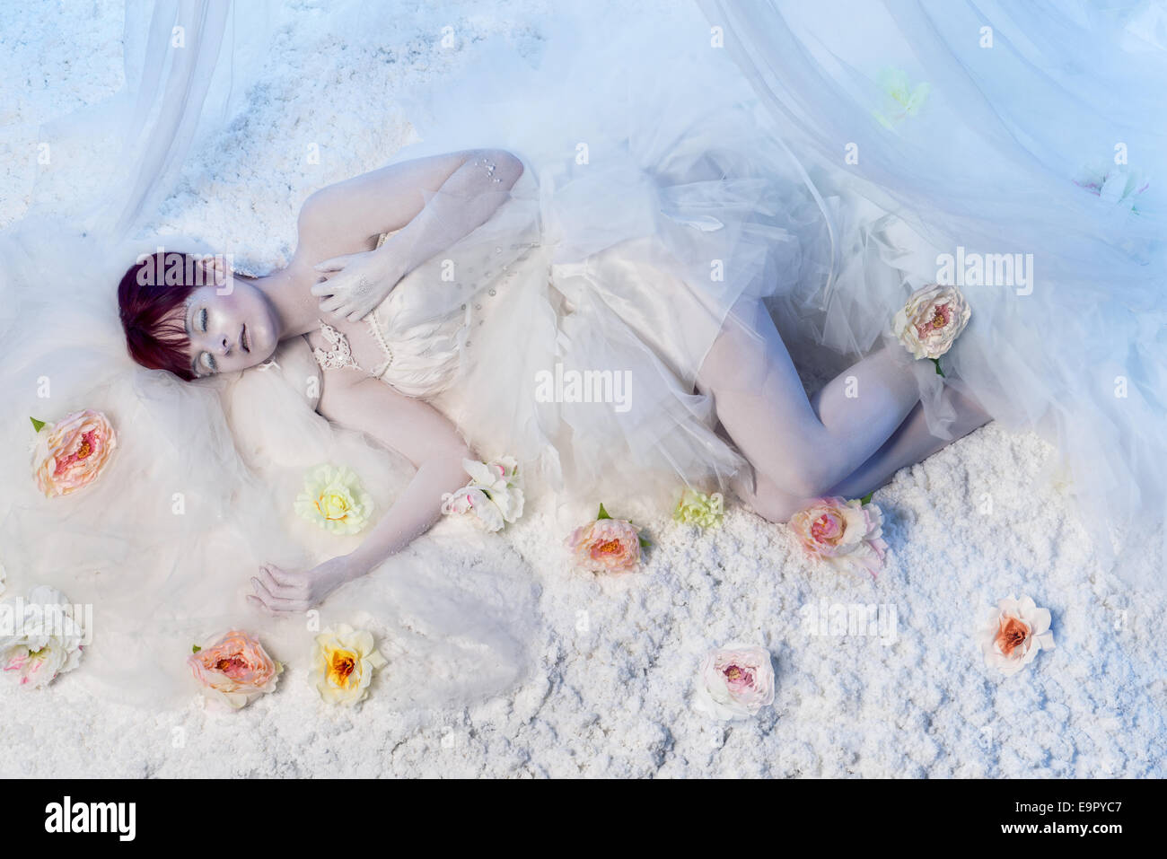 Beautiful winter white flowers hi-res stock photography and images - Alamy