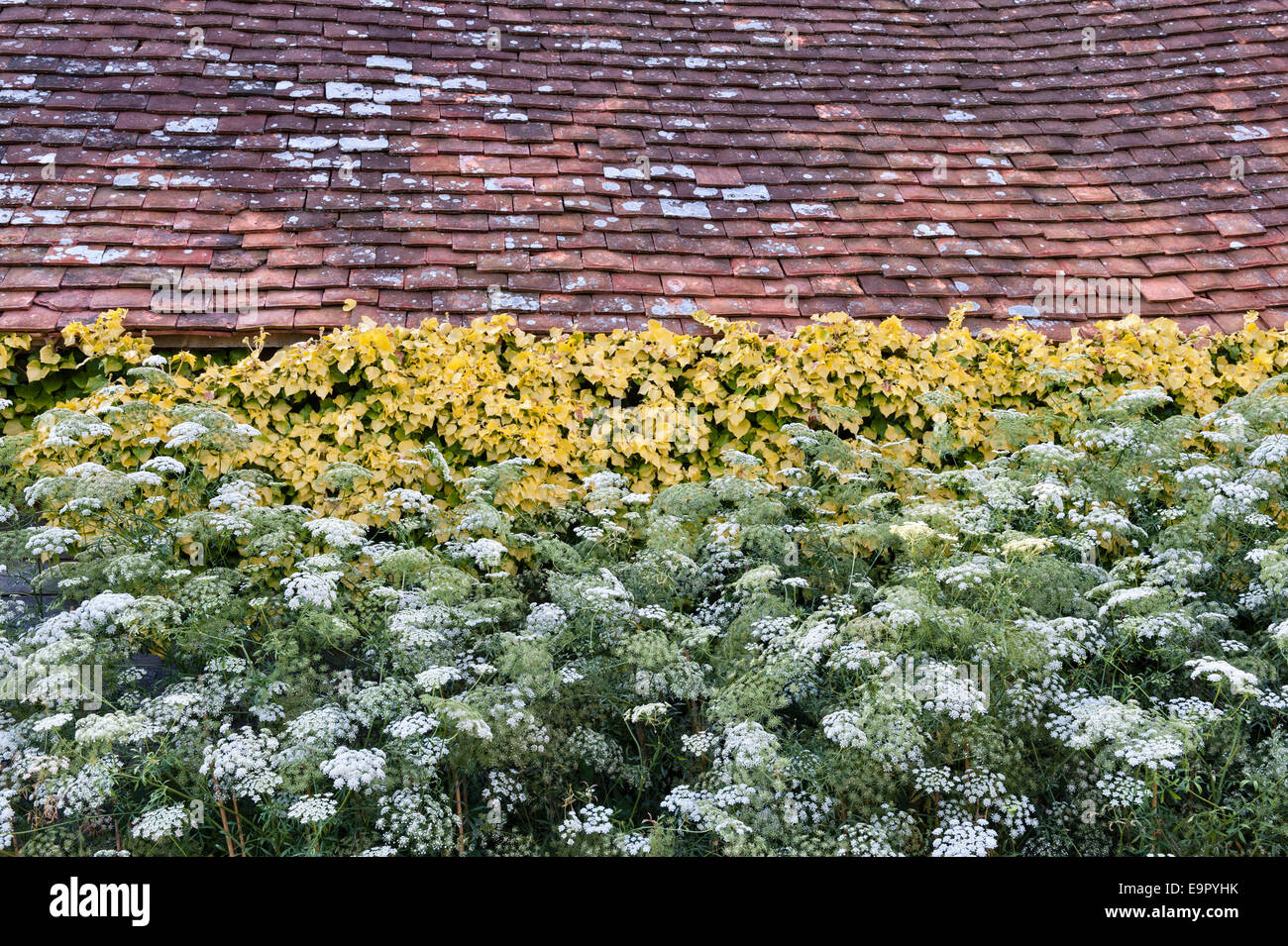 Great dixter garden hi-res stock photography and images - Alamy