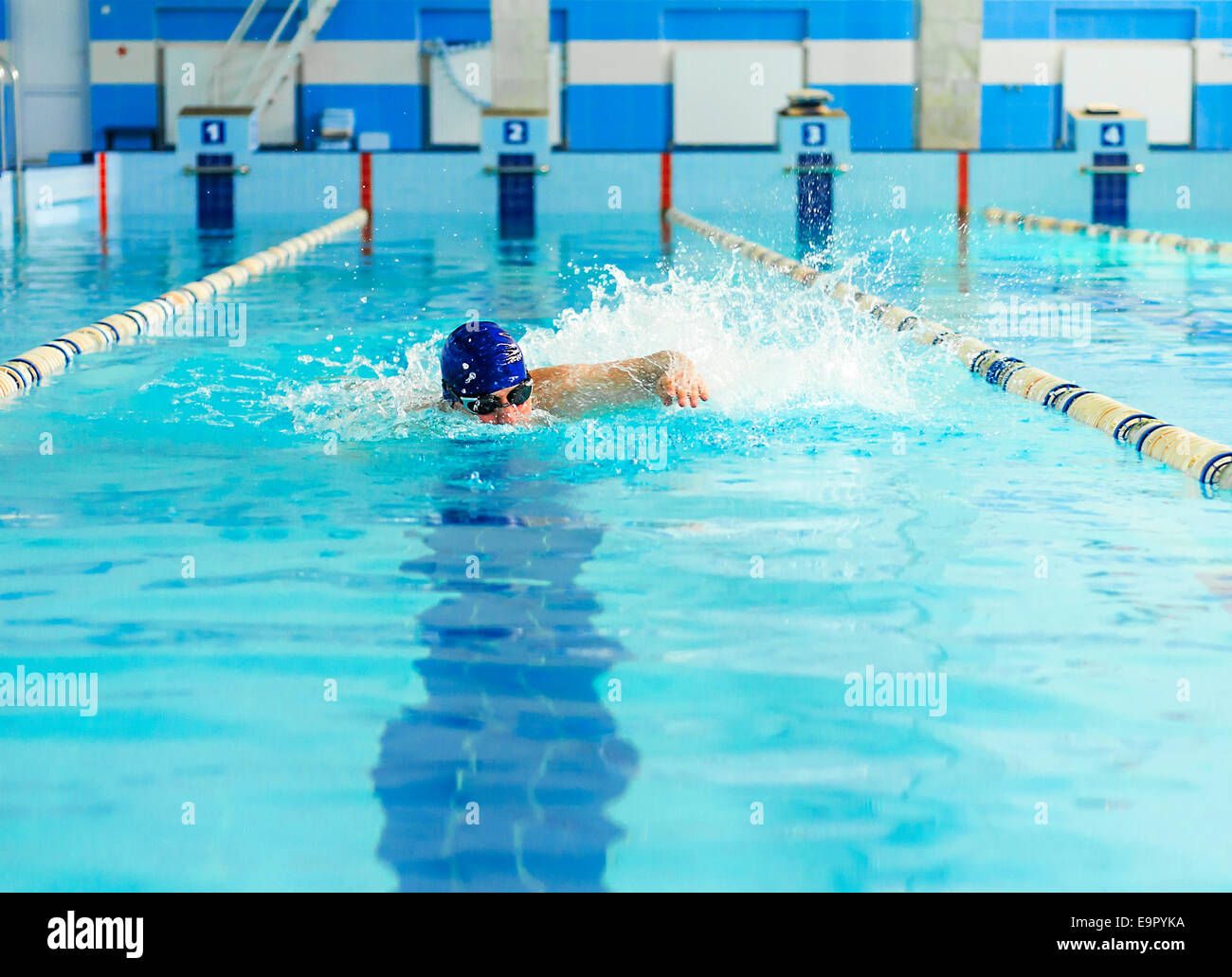 Professional male swimmer swimming in the pool Stock Photo - Alamy
