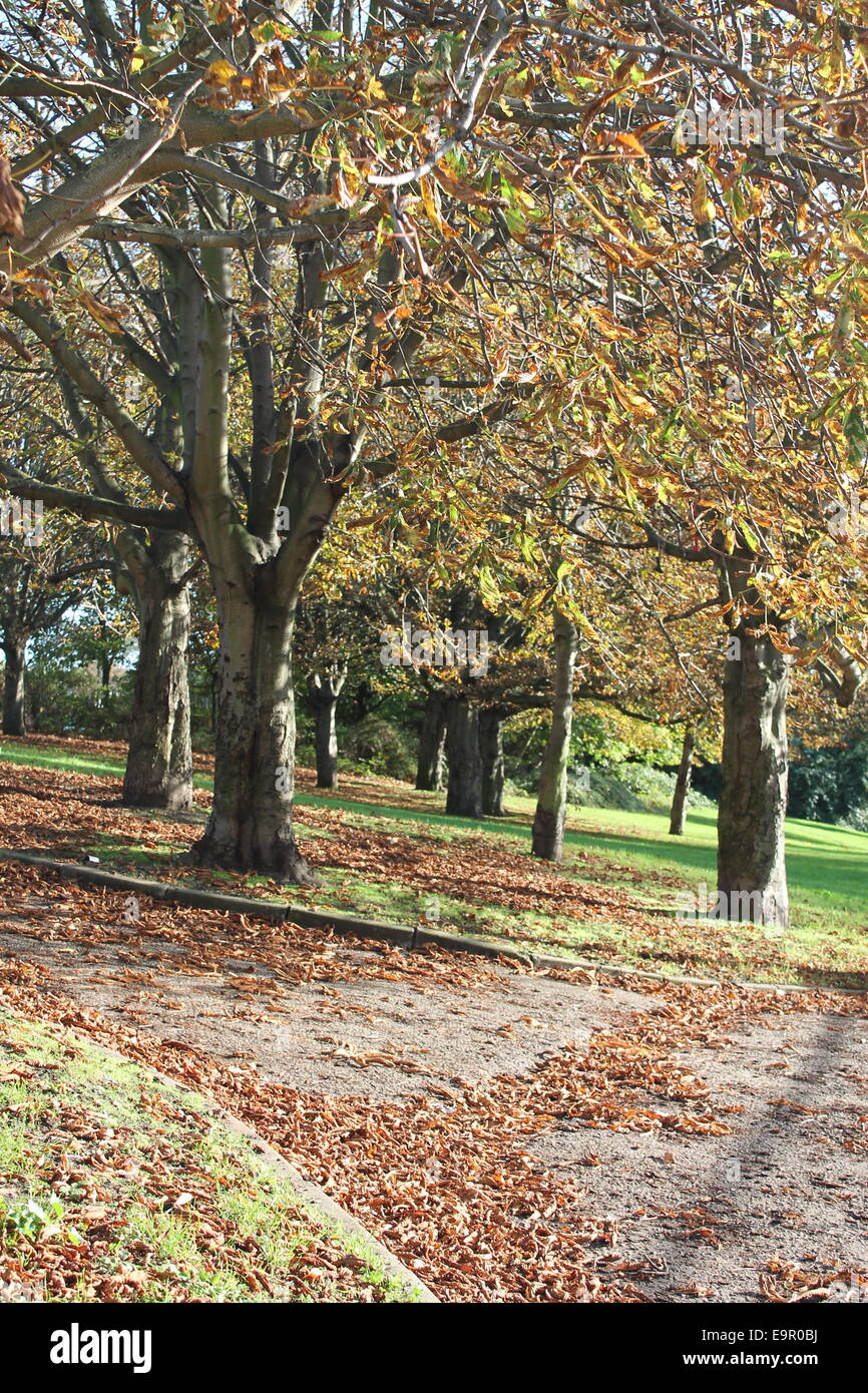 Southwark park se16 hi-res stock photography and images - Alamy