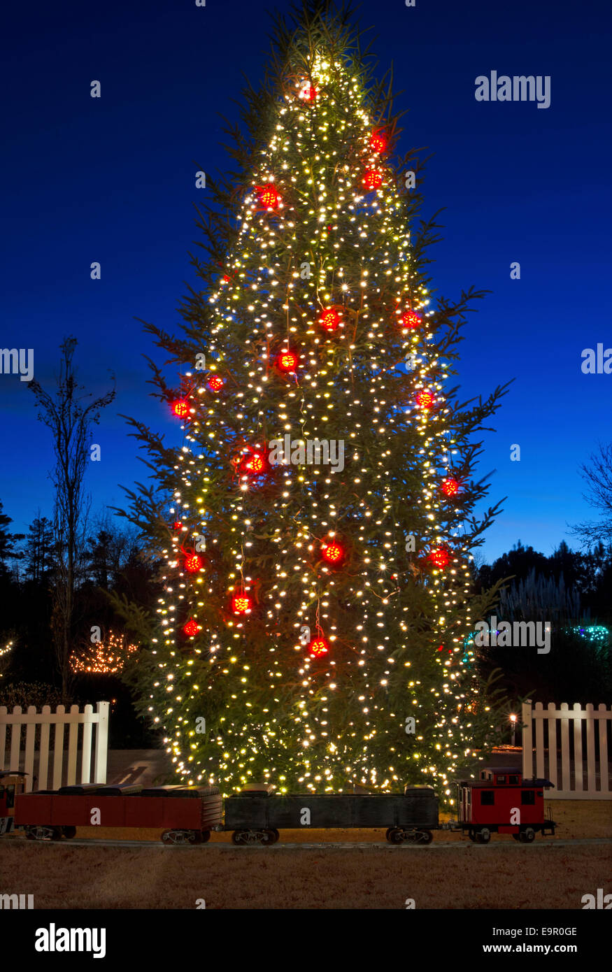 Outdoor christmas tree lights hi-res stock photography and images - Alamy