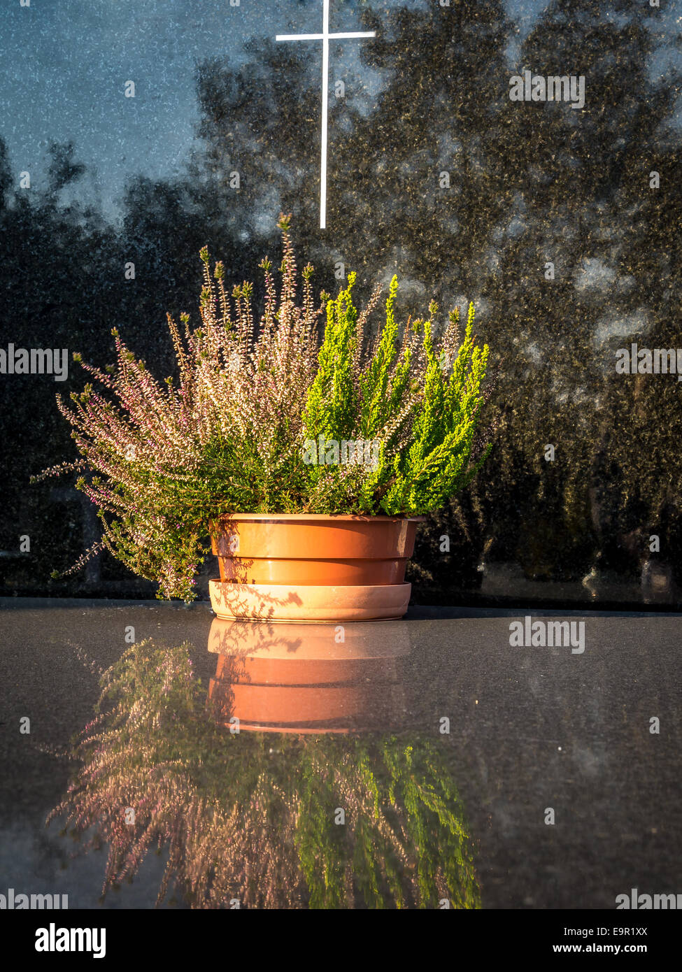 Tombstone hi-res stock photography and images - Alamy