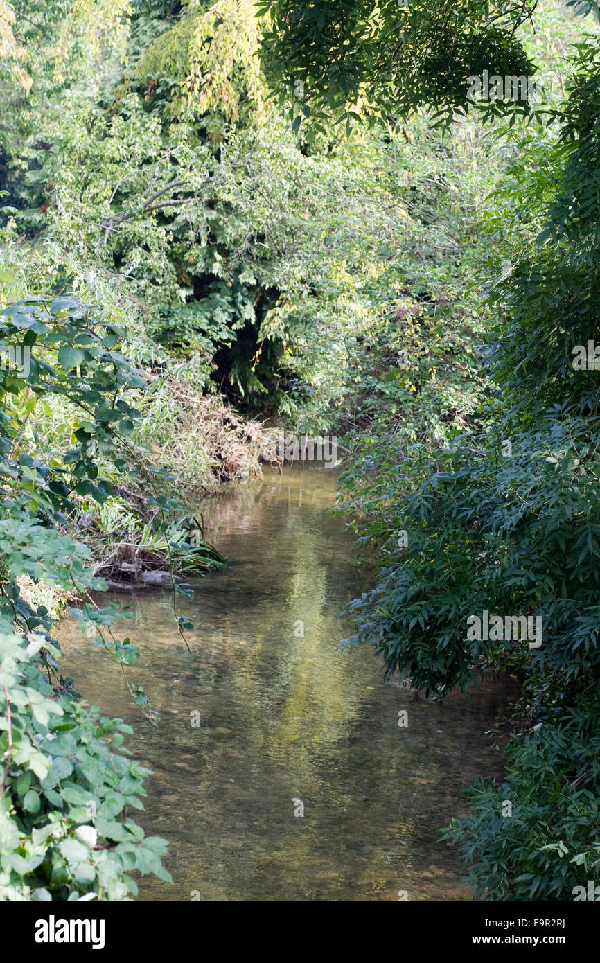 Stream running through the English countryside Stock Photo - Alamy