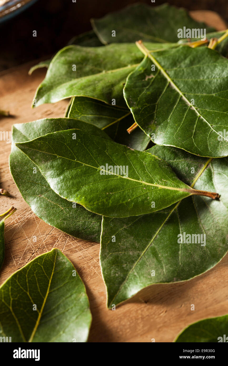 Green Organic Bay Leaves Ready to Use Stock Photo - Alamy