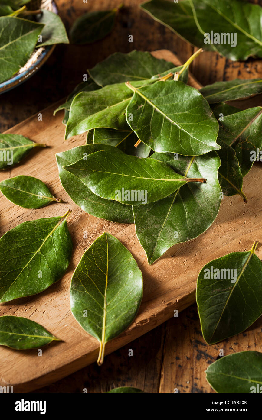 Green Organic Bay Leaves Ready to Use Stock Photo - Alamy