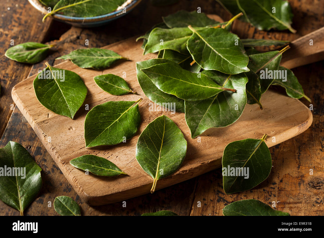 Green Organic Bay Leaves Ready to Use Stock Photo - Alamy