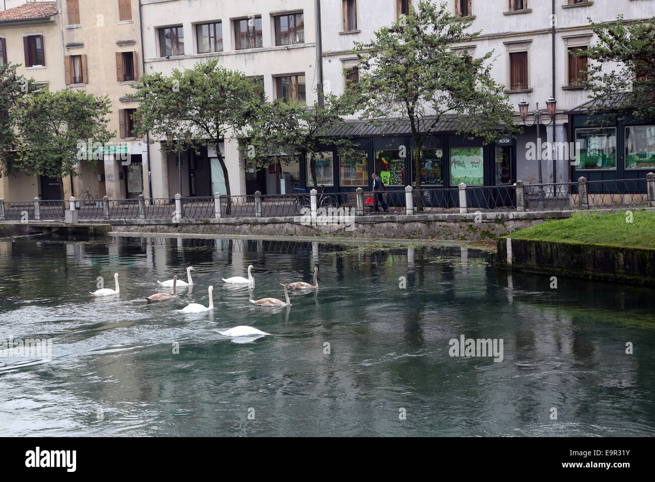 Treviso italy canal hi-res stock photography and images - Alamy
