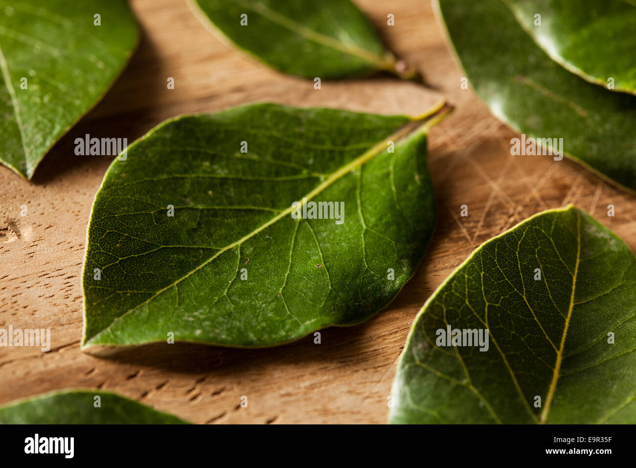 Green Organic Bay Leaves Ready to Use Stock Photo - Alamy