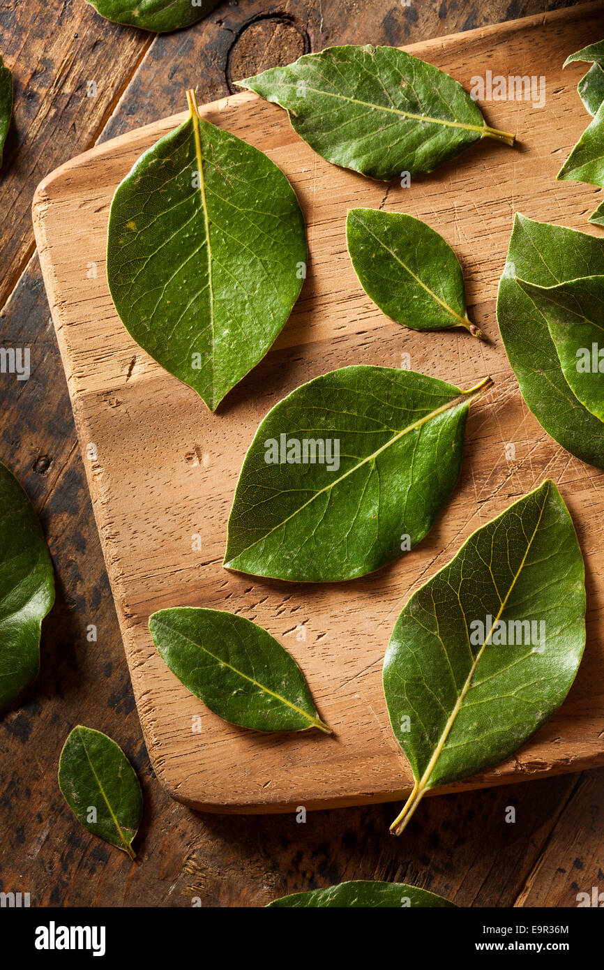 Green Organic Bay Leaves Ready to Use Stock Photo - Alamy