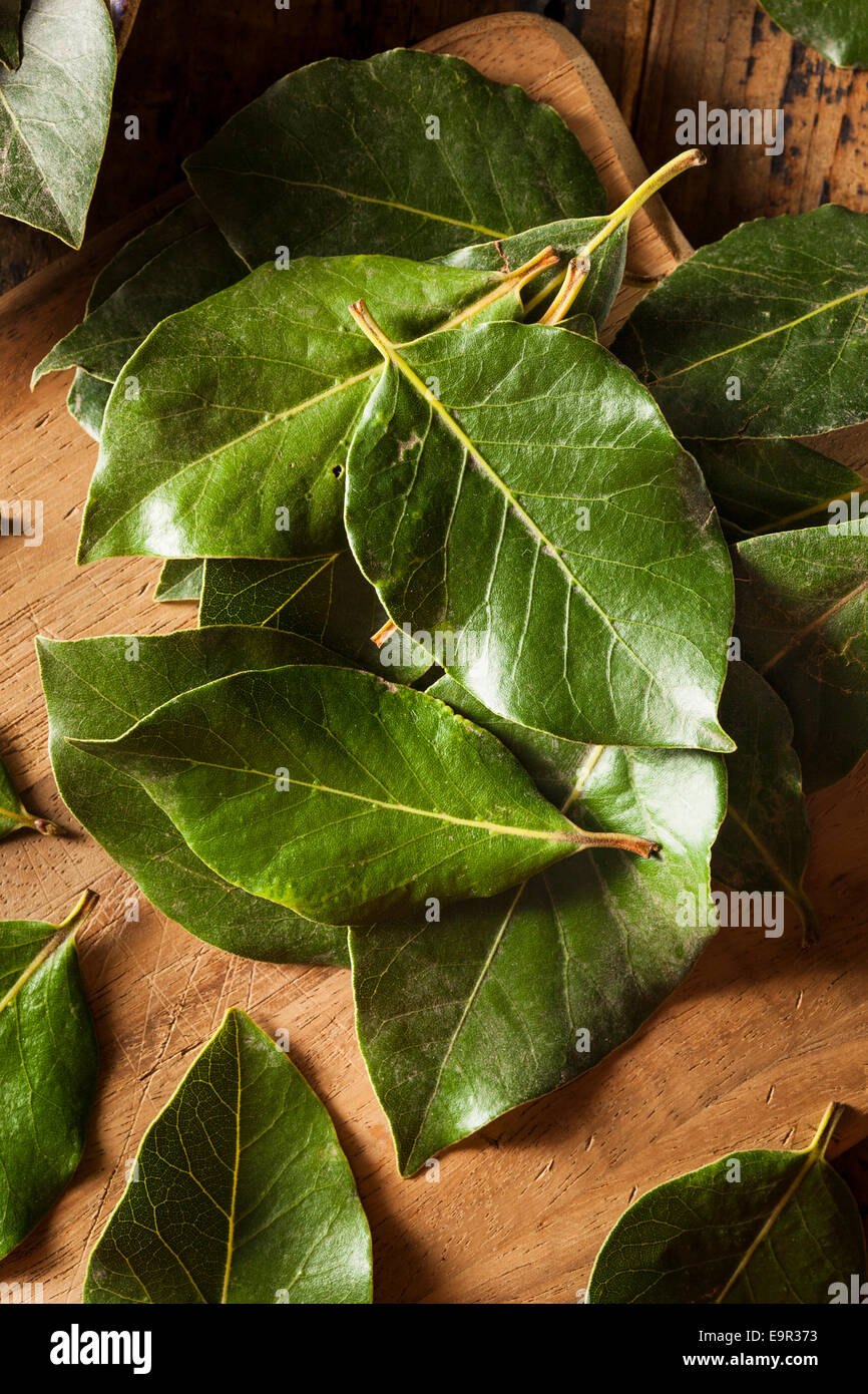 Green Organic Bay Leaves Ready to Use Stock Photo - Alamy