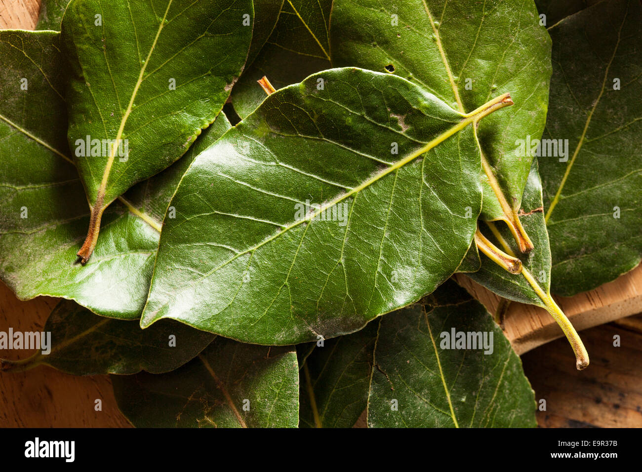 Green Organic Bay Leaves Ready to Use Stock Photo - Alamy