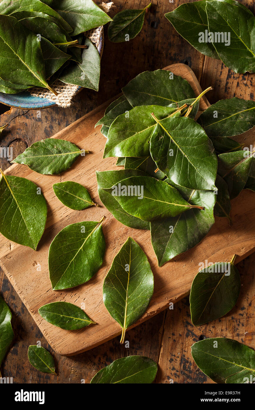 Green Organic Bay Leaves Ready to Use Stock Photo - Alamy