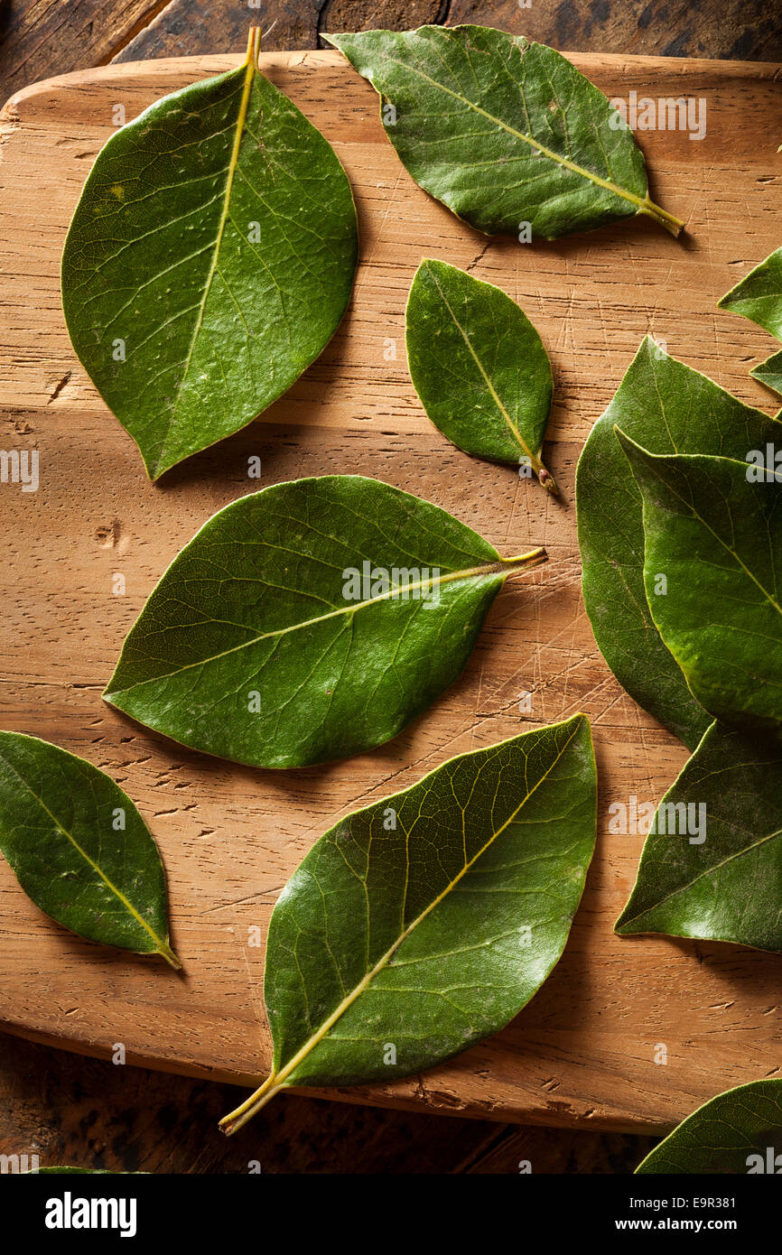 Green Organic Bay Leaves Ready to Use Stock Photo - Alamy