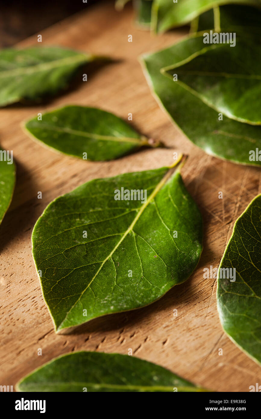 Green Organic Bay Leaves Ready to Use Stock Photo - Alamy