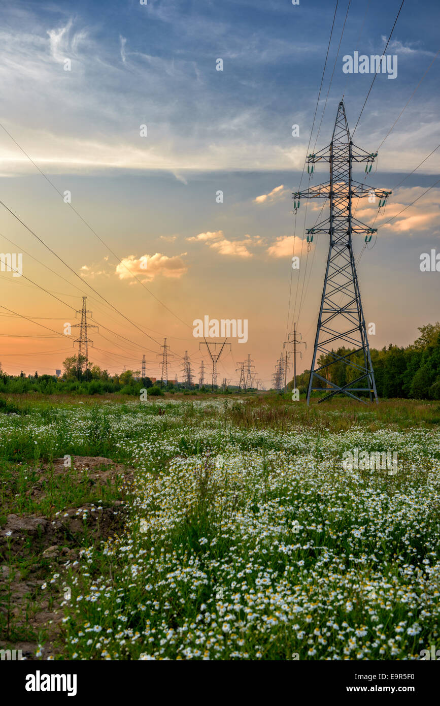 High voltage power line in flower meadow over sunset sky Stock Photo ...