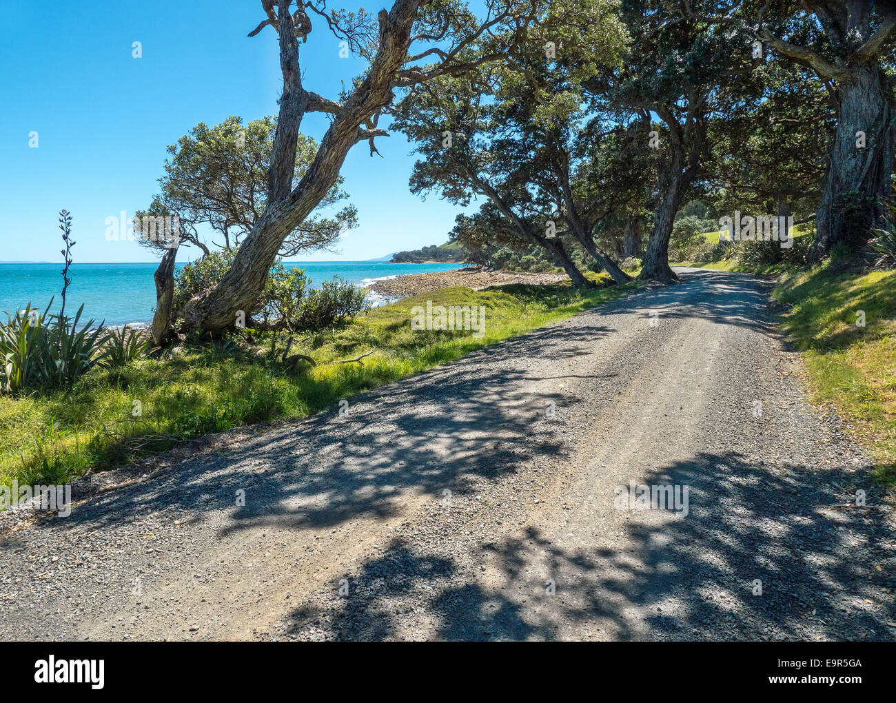 Gravel road, Colville Road, East coast, Coromandel, New Zealand Stock ...
