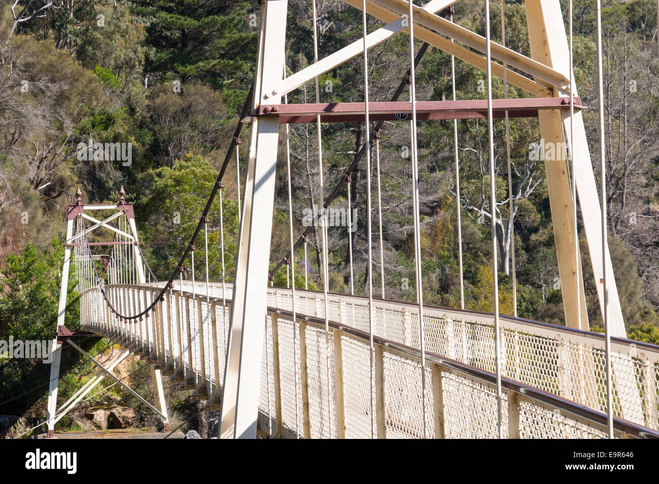 people walking over alexandra suspension bridge at cataract gorge ...